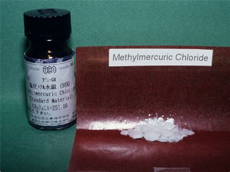 Type Of Mercury Minamata Disease