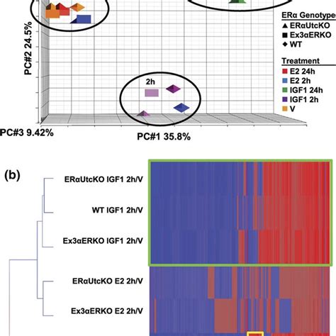 microarray analysis of e2 and igf1 regulated transcripts a principal
