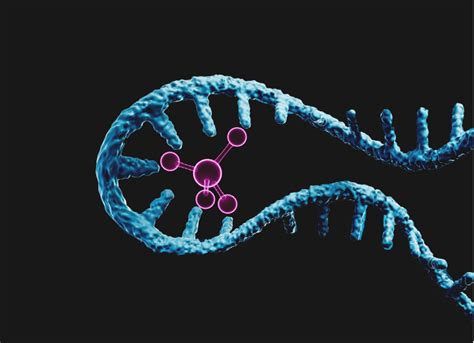 Ai Ml Platform For Targeting Rna With Small Molecules Challenge Aion Labs