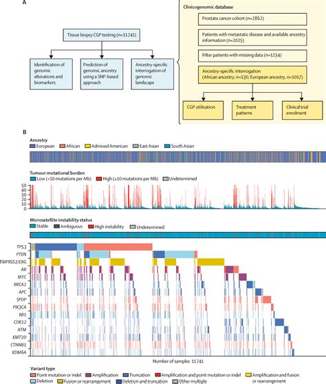 Prostate Cancer Inequalities Are Caused By Treatment Practices Rather Than Genetics According