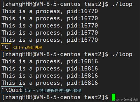 Liunx系统编程：进程信号的概念及产生方式 Csdn博客