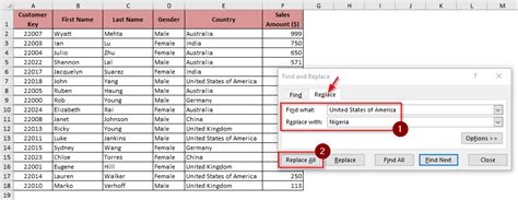 all about find and replace in excel excel unlocked