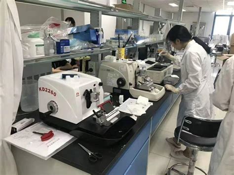 Jacky Likedee Microtome On Linkedin Kedee Microtomeembedding