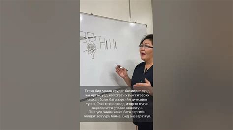 Нурууны дискний цүлхийлт хэрхэн үүсдэг вэ Youtube