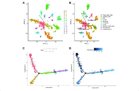 Cell Clusters And Types Of Annotation And Pseudotime Analysis A Download Scientific