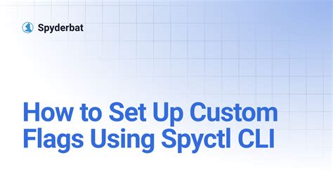 How To Set Up Custom Flags Using Spyctl CLI Spyderbat