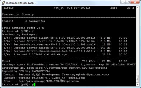 Server Setup Guide Part 1 Centos Openlitespeed Percona With