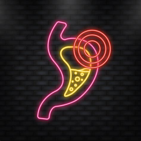 인간의 위 건강하고 건강에 해로운 소화 시스템 해부학 벡터 재고 일러스트 프리미엄 벡터