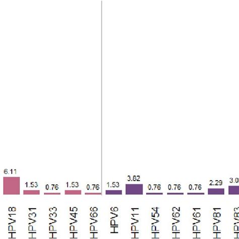 Hpv Prevalence According To Age Groups Hr Hpv High Risk Hpv Lr Hpv