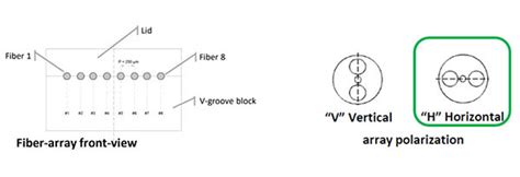 Stock Polarization Maintaining Fiber Array Fiber Array Webshop