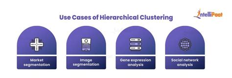 What Is Hierarchical Clustering Types Method And Applications