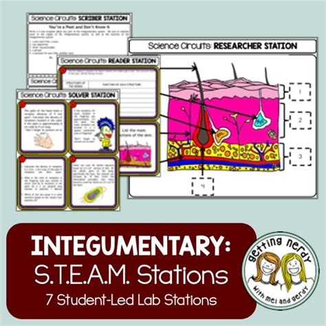 Integumentary System Science Centers Lab Stations