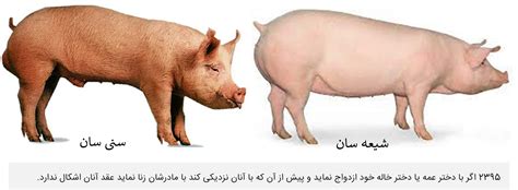 بالاترین سکس اسلامی با عمه و خاله