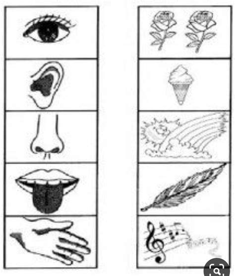 Evs Class 1 Online Classes Cbse Worksheets