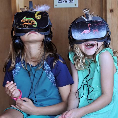 Wild Immersion Pico G3 Vr Expert Enterprise Vr Ar Hardware Supplier