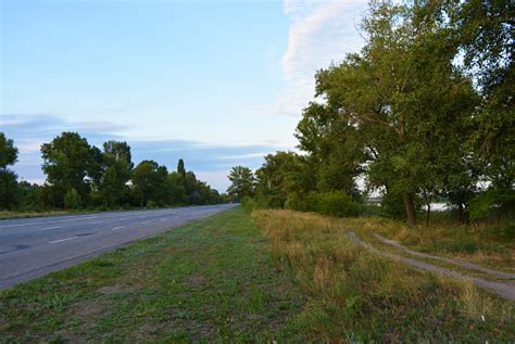밝은 여름 녹지와 큰 나무 드니 프로 우크라이나 와 원수 말리 노프스키 거리에 긴 회색 아스팔트 도로 0명에 대한 스톡 사진 및 기타 이미지 Istock