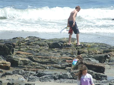 Shell Seekers By Ccblu On Deviantart