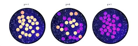 Stream Lines Of The Flow Field Obtained For Three Experiments With A Download Scientific