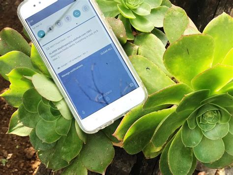 Garduino The Smart Garden With Arduino 4 Steps With Pictures Instructables