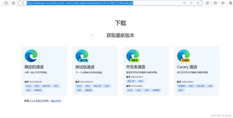 安装 selenium 及配置 edge、chrome 浏览器驱动 selenium edge driver csdn博客