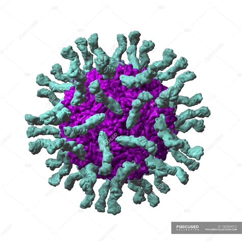 Poliovirus Structure