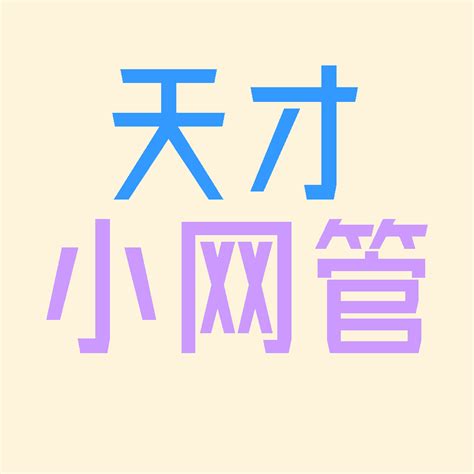 导出多种文件格式 聊天记录永久备份与打印助手 天才小网管软件文档