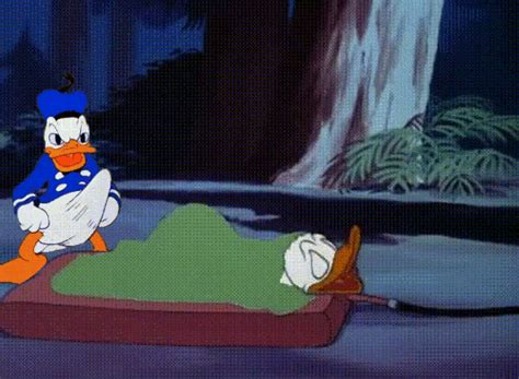 Peeping His Own Back Yard Donald Duck Boner Know Your Meme