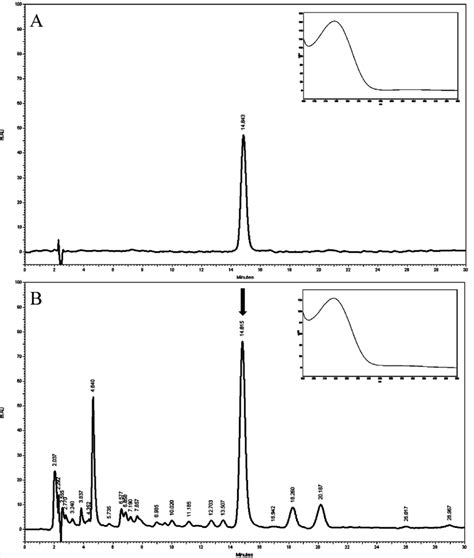 Representative Hplc Chromatograms And Uv Spectra Of Authentic 20e A Download Scientific