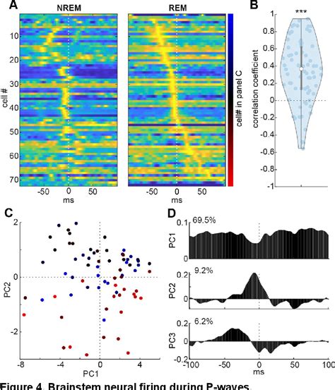 Sleep State Dependent Modulations Of Hippocampal Theta 1 Oscillations