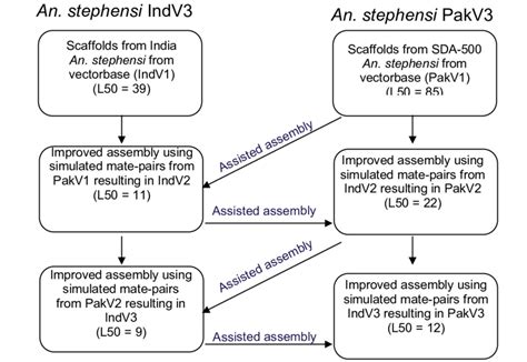 Schematic Diagram Showing The Iterative Approach Followed To Improve