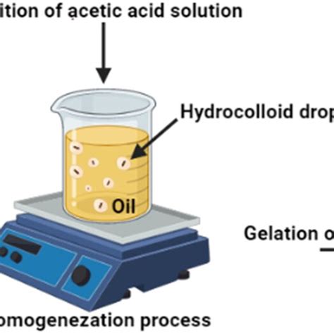 Flow Diagram Of The Process Of Encapsulation Of Probiotics By Download Scientific Diagram