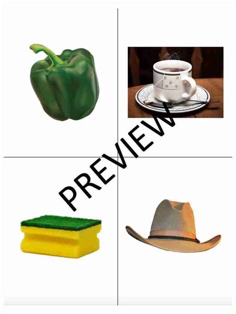 Semantic Feature Analysis Worksheet For Speech Therapy Editable Fillable Printable Pdf