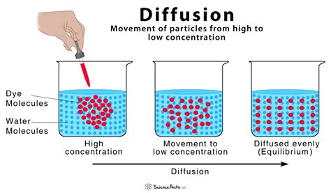 What Is Diffusion