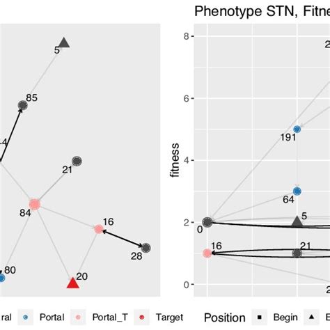 Visualisation Of The Phenotype Stn Model For Target 20 Using A