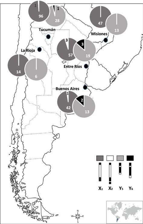 Geographic Distribution And Relative Frequency Of Sex Chromosome Download Scientific Diagram
