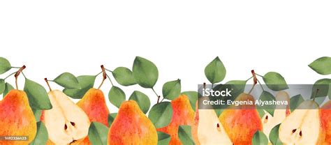배 과일 테두리 나뭇잎을 가진 노란 배의 절반 전체 조각 농민 시장 포장 등의 디자인을 위한 수평 배너 또는 프레임 농장에 대한