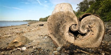 Home Benjamin Day Consulting Inc