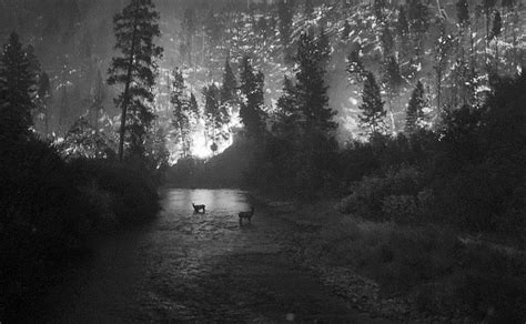 智慧森林消防数字孪生三维可视化平台 智慧森林消防webgl大屏可视化管理系统 哔哩哔哩