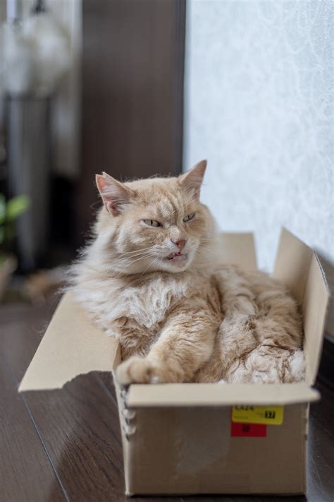 Ive Been Too Busy To Post Until Today And I Cant Seem To Figure Out If Ive Posted Any Of