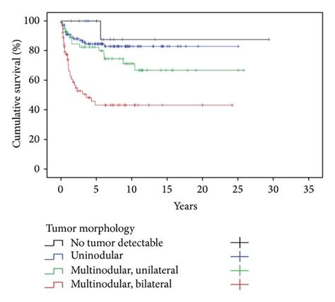 Hcc Recurrence A And Survival B With Respect To Tumor Morphology Download Scientific