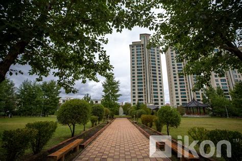 ФОТО БНСУ ын Гадаад хэргийн сайд Зайсан дахь И Тэ Жүн эмчийн дурсгалын цэцэрлэгт хүрээлэнд