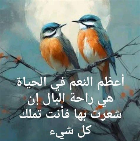 أحمد عبد العزيز On Reels Facebook