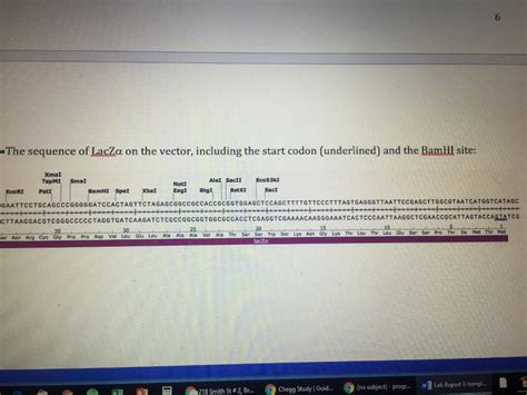 Solved 6 In Lab You Amplified The Gfp Coding Sequence By
