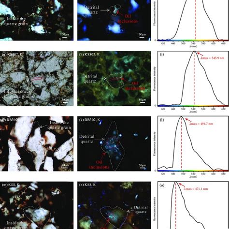 Photomicrographs Of Representative Hydrocarbon Inclusions Under Download Scientific Diagram