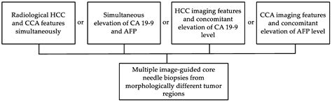 The Diagnostic Approach Towards Combined Hepatocellular Cholangiocarcinoma—state Of The Art And