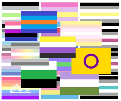 A Guide To All Non Binary Identity Flags Including Agender Bigender