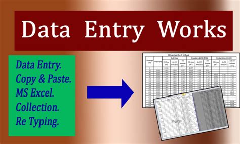 Do Excel Typing Data Entry Data Collection Copy And Paste Works By Niroshanliyanag Fiverr
