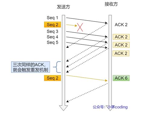 计算机网络学习总结（基于小林coding版）小林coding计算机网络 Csdn博客