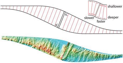 Schematic Illustrations Top Representing Rhomboid 5 During Stage 2 Download Scientific