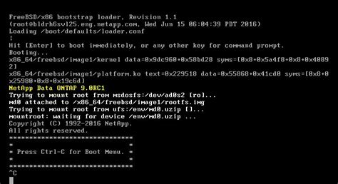 Remote Infrastructure Management Clustered Data Ontap 9 Administration